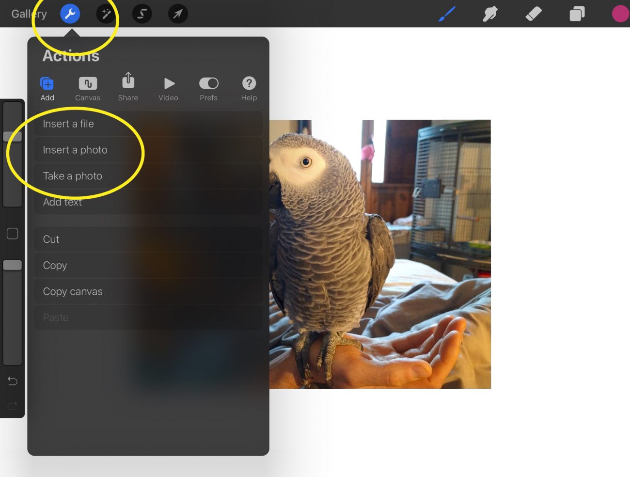 Make Custom Planner Stickers in Procreate - Procreate 5 Tutorial - Make ...